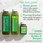 detox drinks for healthy living