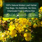 detox herbal tea with mullein leaf
