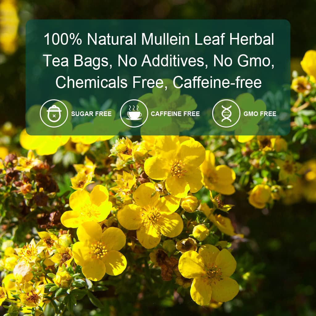 detox herbal tea with mullein leaf