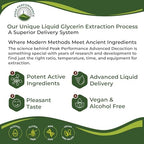 detox supplement for healthy living