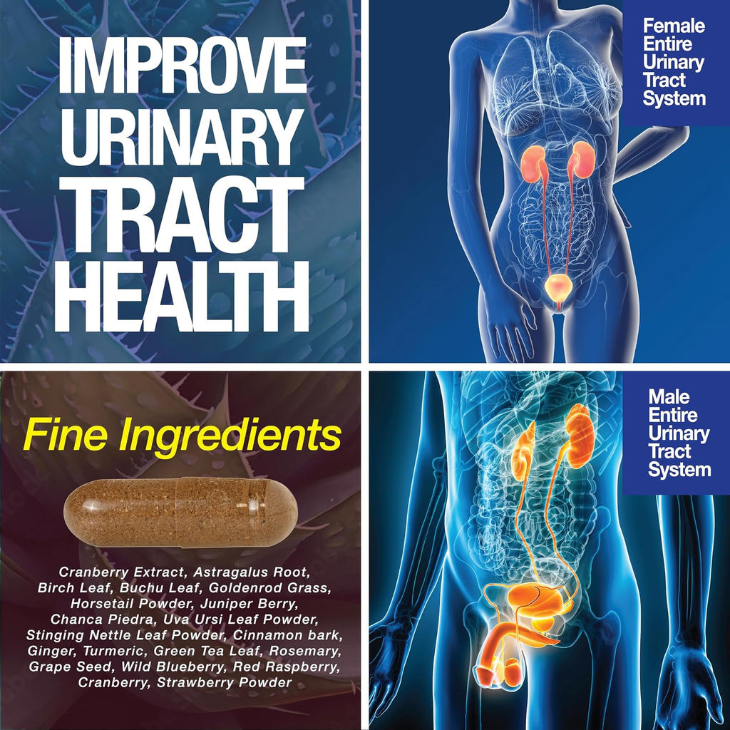 detoxify kidneys with herbal ingredients