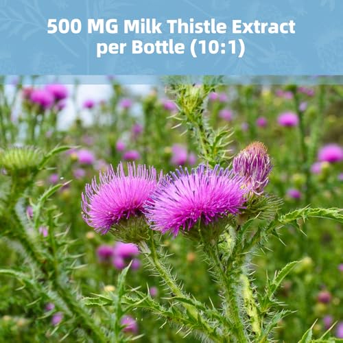 detoxify with uvora milk thistle