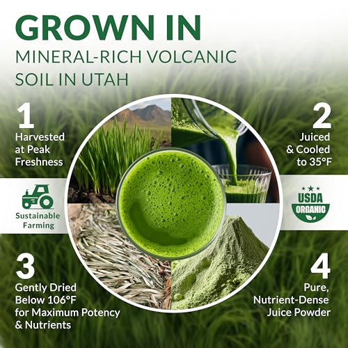 detoxifying barley grass powder
