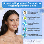 Detoxifying liposomal glutathione formula