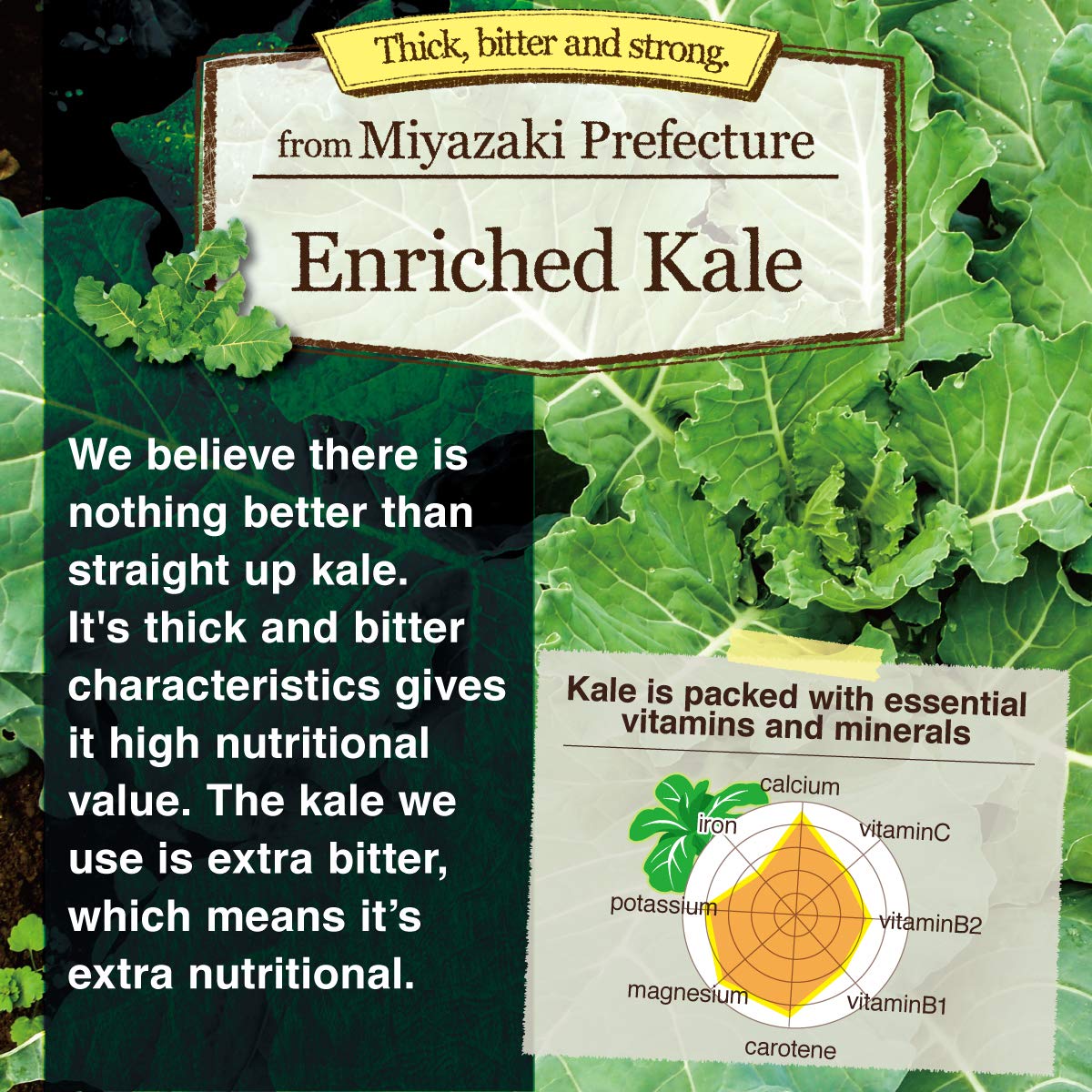 Detoxifying properties of chlorella tablets