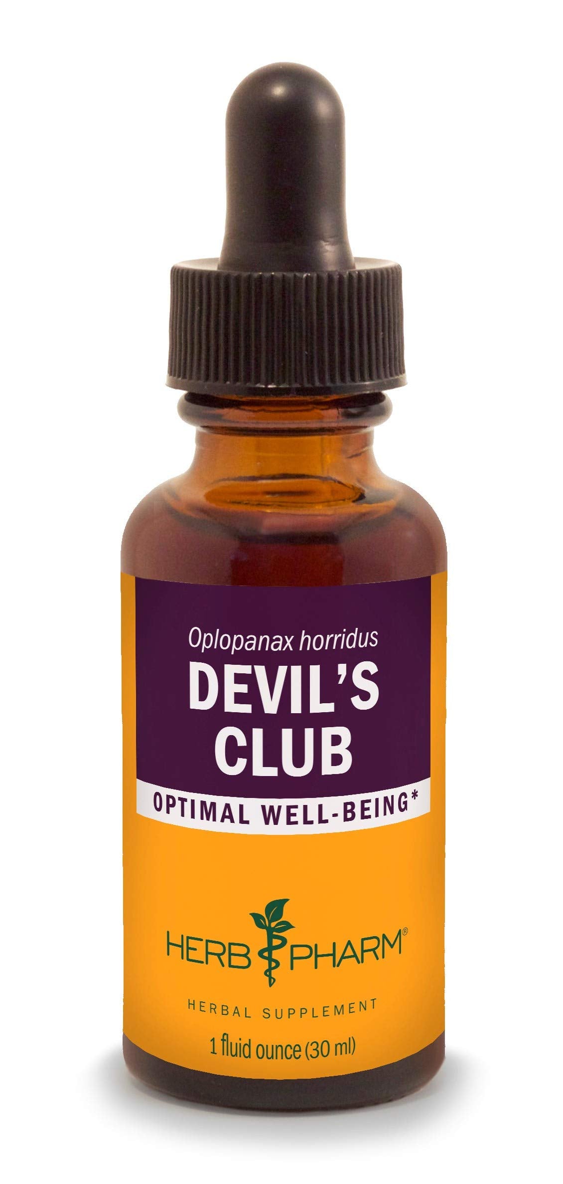 Devil's Club echinacea liquid extract