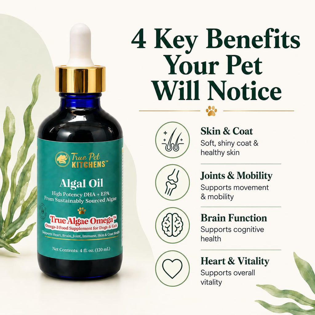 DHA EPA softgels for pets