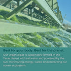 DHA for improved mood and focus