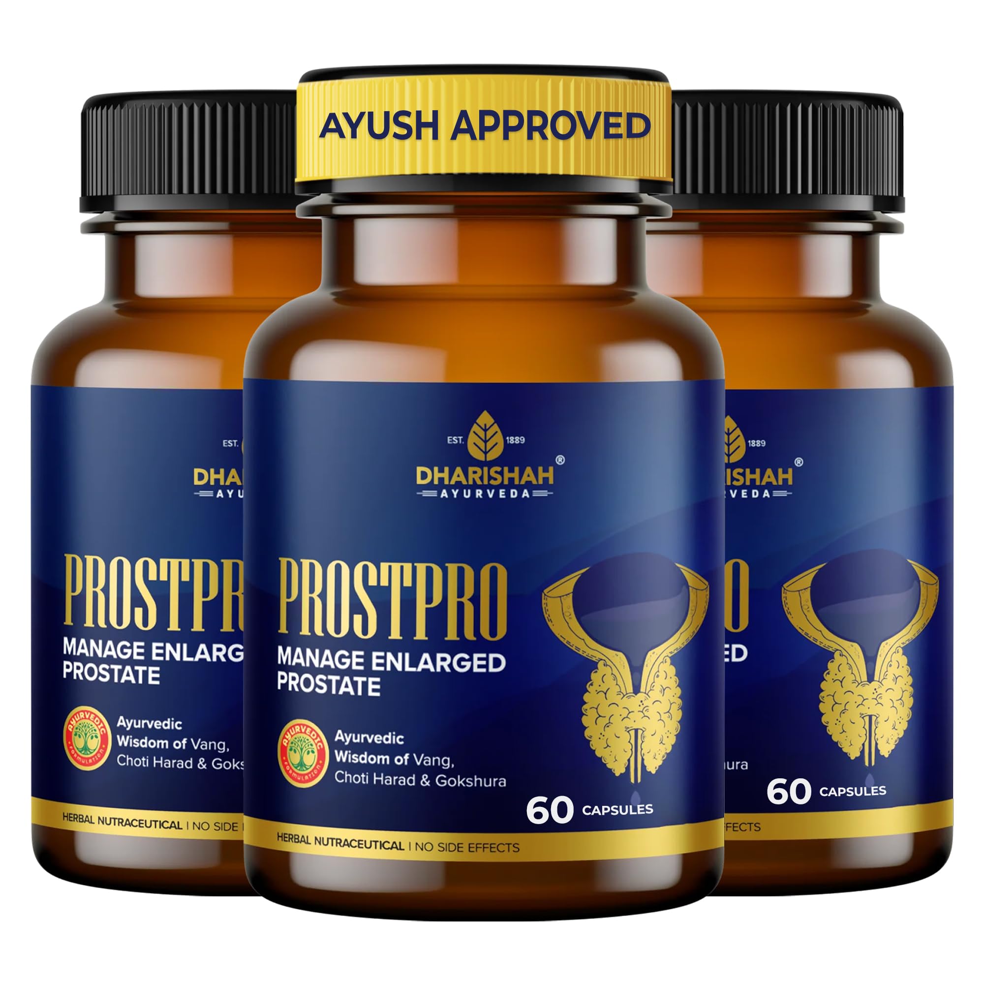 Dharishah Ayurveda herbal supplements for wellness