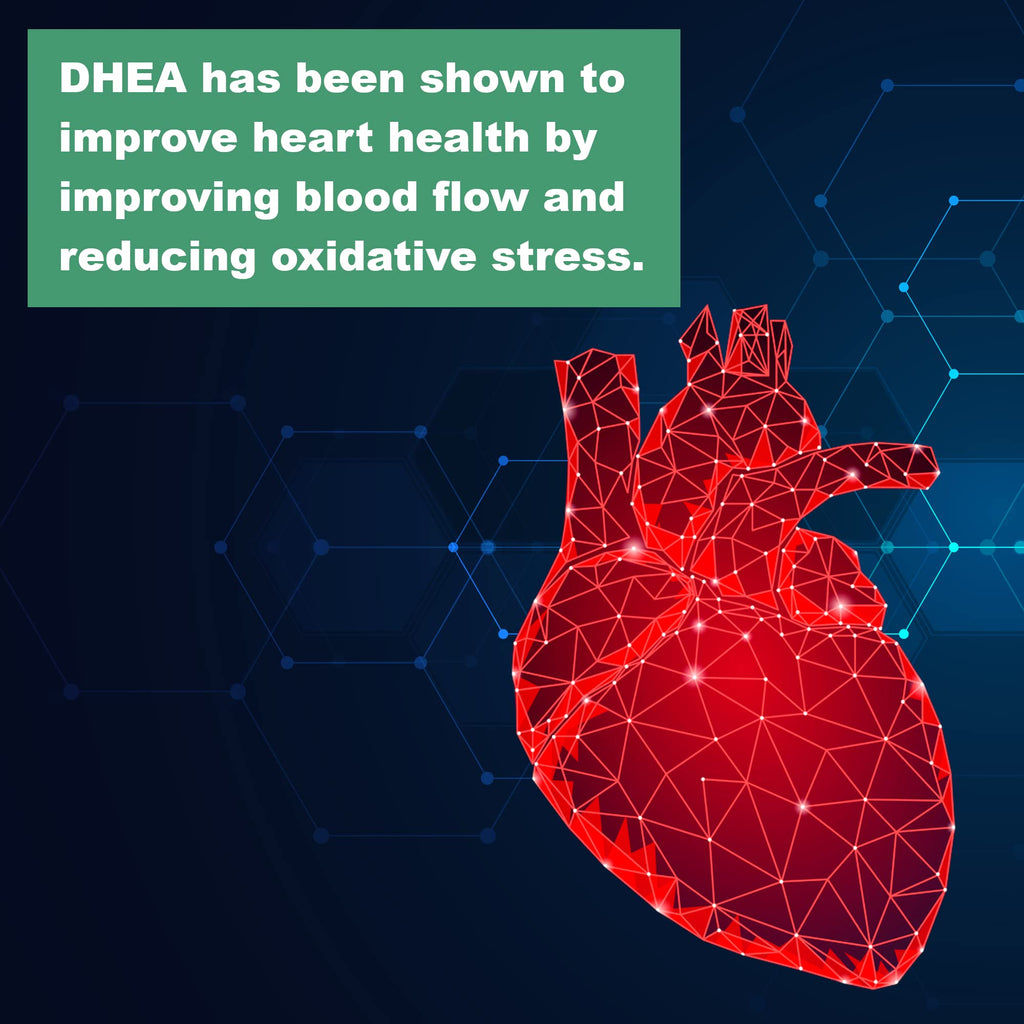 DHEA capsules for fitness enthusiasts