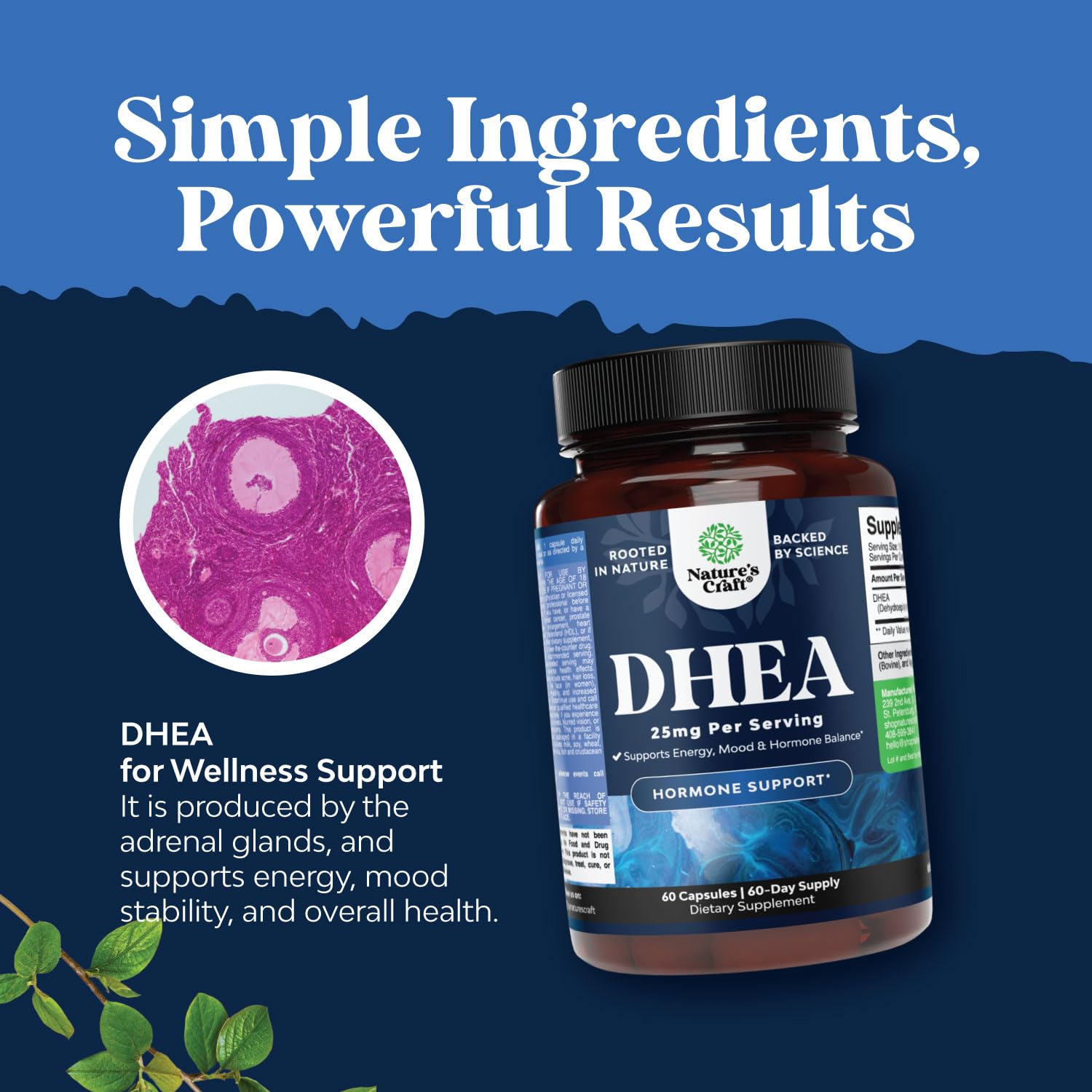 DHEA kids multivitamin for healthy growth