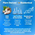 DHEA liquid drops for wellness