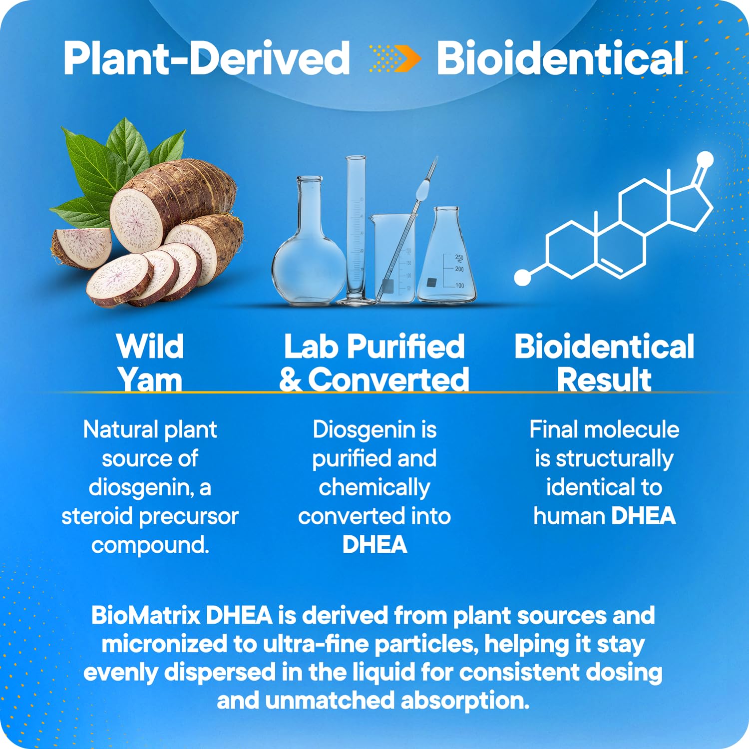DHEA liquid drops for wellness