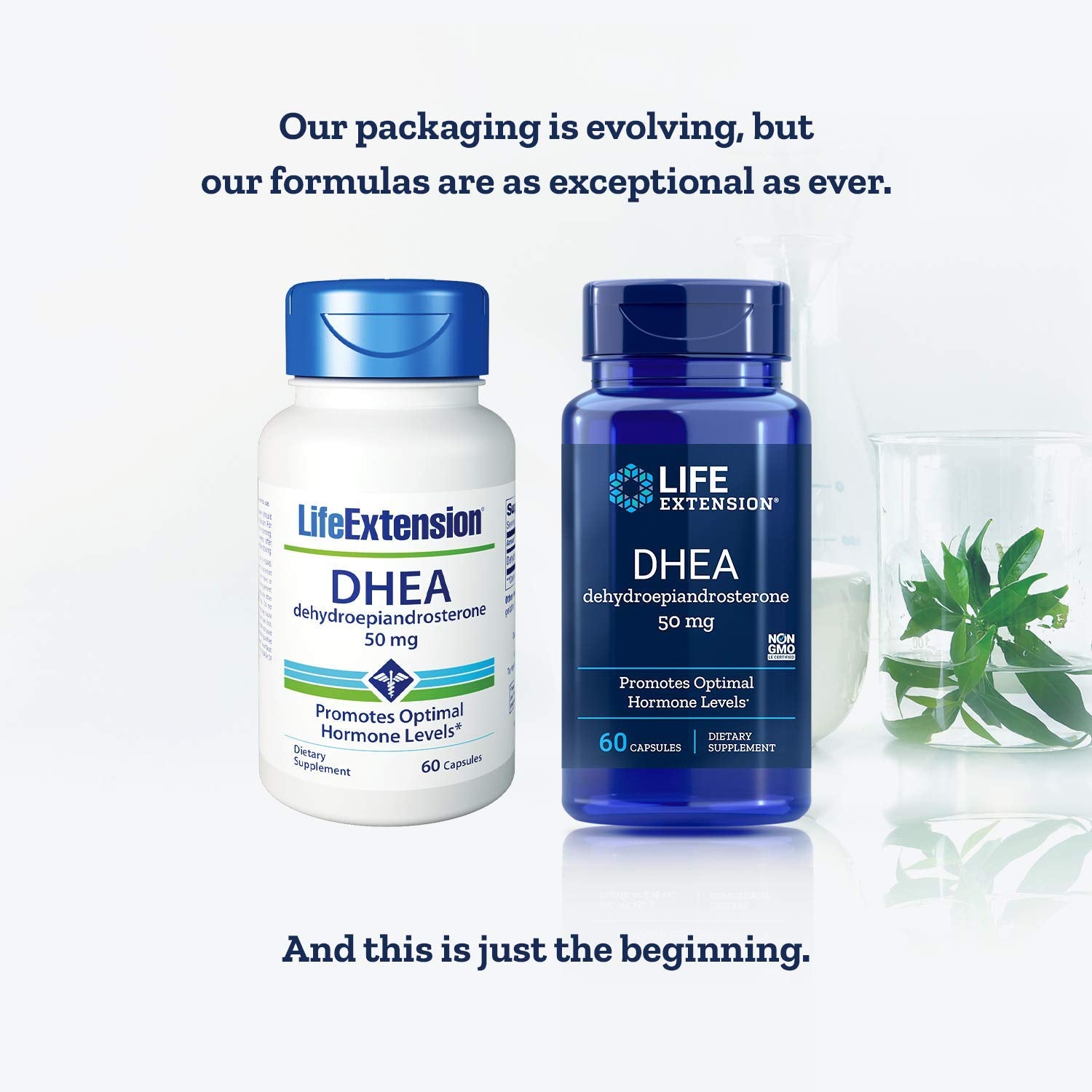 DHEA supplement for hormonal balance
