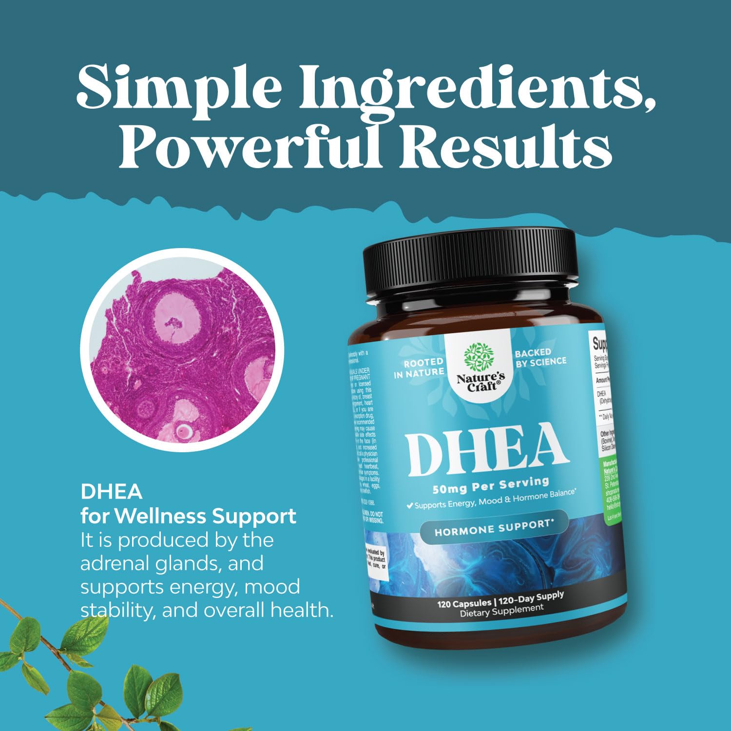 DHEA supplement for men's health