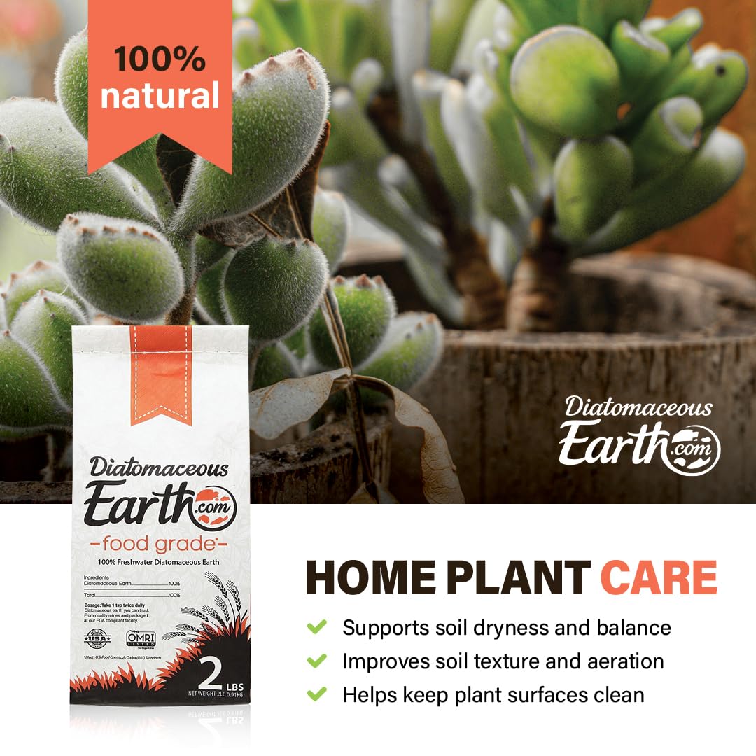 diatomaceous earth for gardening benefits