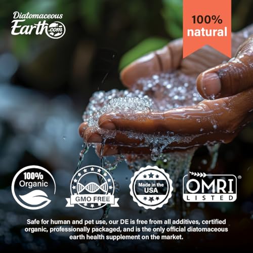 diatomaceous earth for improved digestion