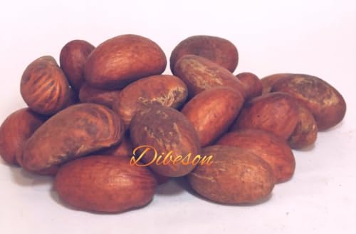 Dibeson garcinia cambogia supplement benefits