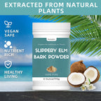 dietary fiber supplement for gut health