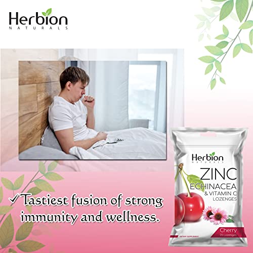 Dietary supplement with zinc and echinacea