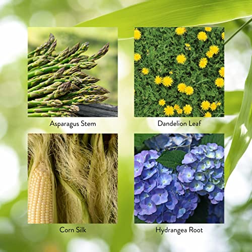 dietary supplements for bladder comfort