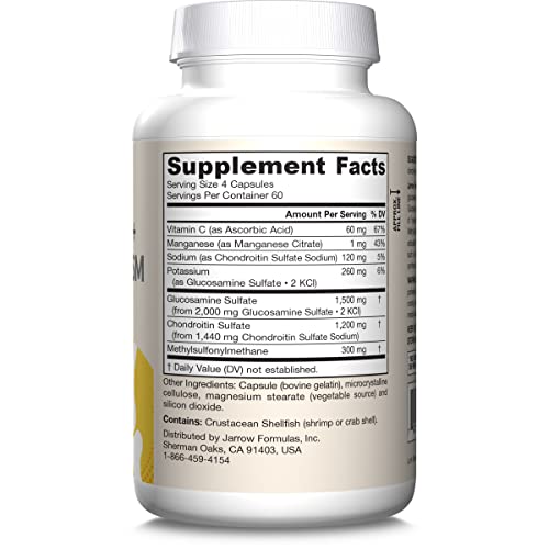 difference between glucosamine and chondroitin