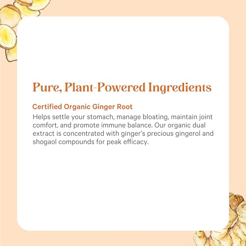 digestive aid with pure ginger extract