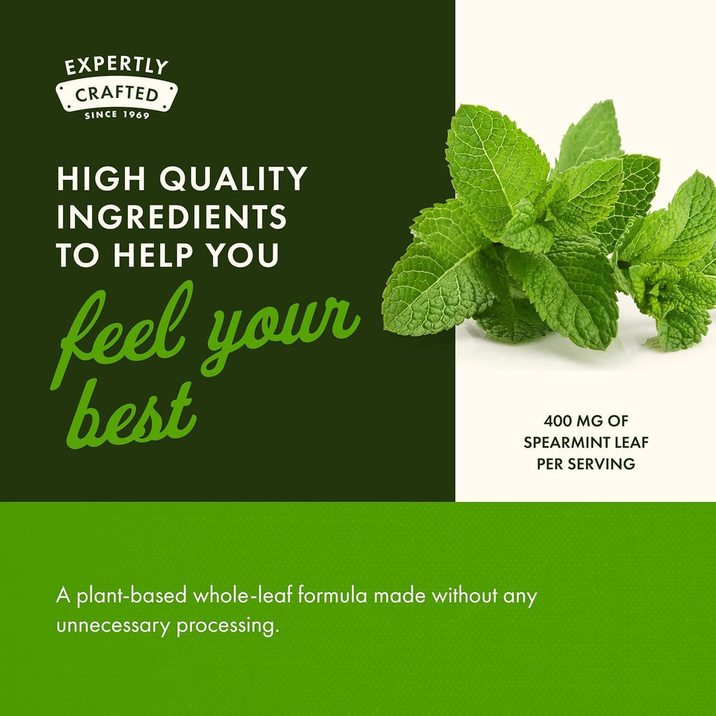 Digestive aid with spearmint leaf