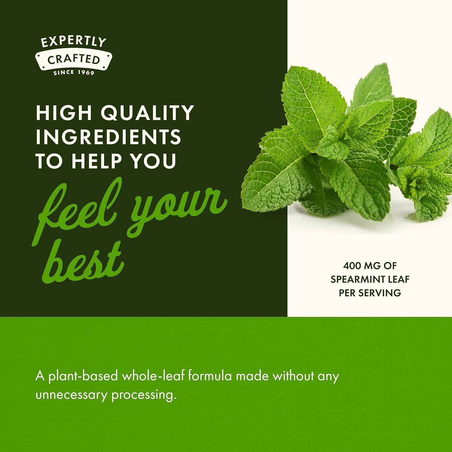 Digestive aid with spearmint leaf