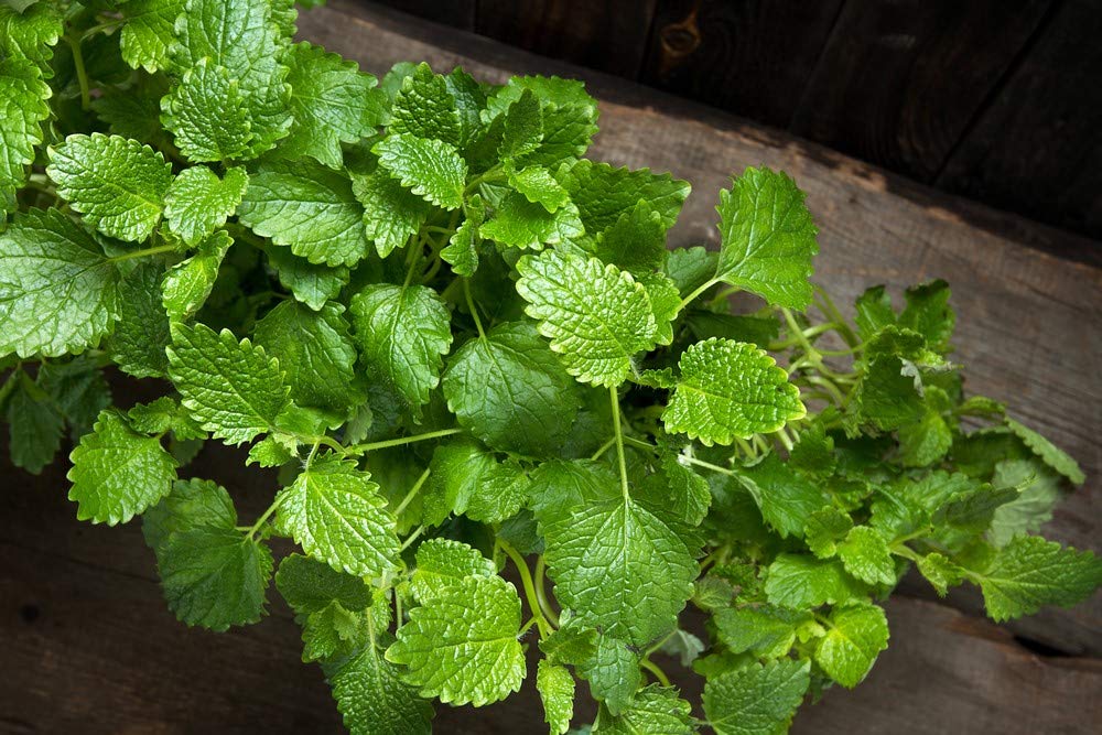 digestive comfort herbal remedy
