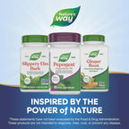 Digestive comfort with peppermint oil