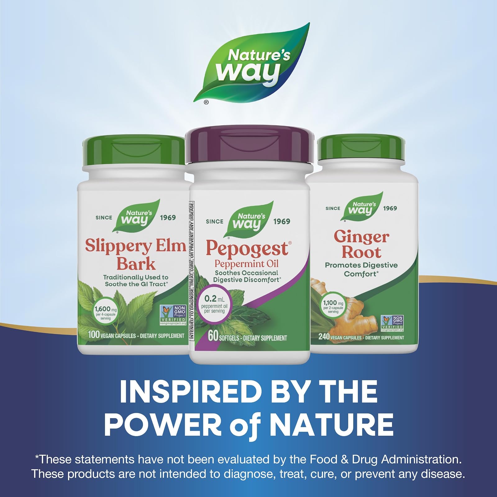 Digestive comfort with peppermint oil