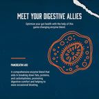 digestive enzyme capsules for bloating relief