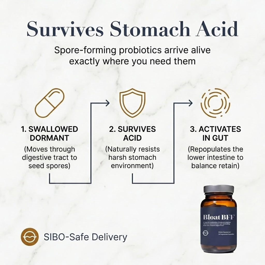 Digestive enzyme capsules for comfort