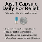 Digestive enzyme supplement for bloating relief
