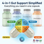 digestive enzymes for better absorption