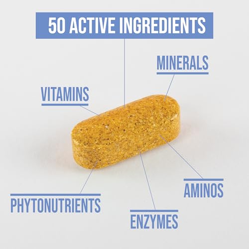 digestive enzymes for better absorption
