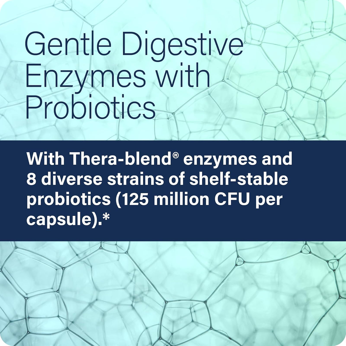 digestive enzymes for better absorption