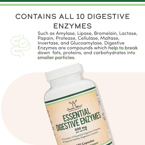 digestive enzymes for better digestion