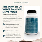 digestive enzymes for better digestion