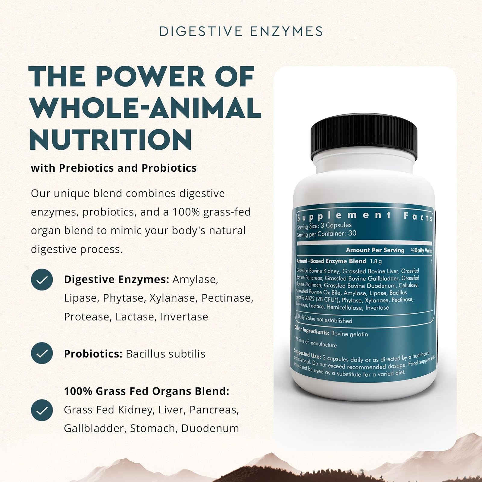 digestive enzymes for better digestion