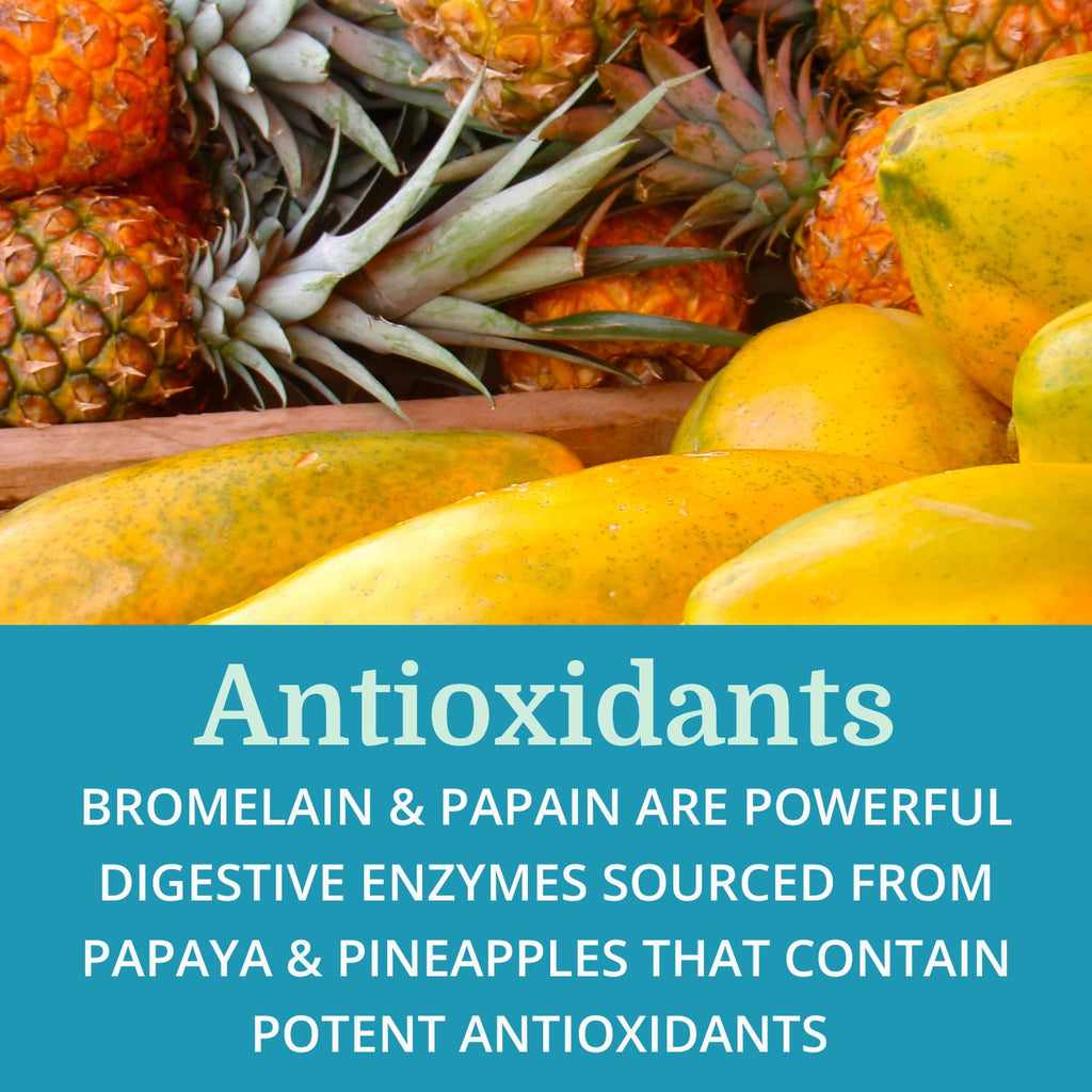 digestive enzymes for better nutrient absorption