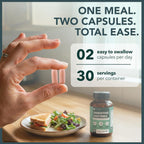 digestive enzymes for better nutrient absorption