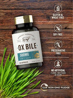 Digestive enzymes for better nutrient absorption