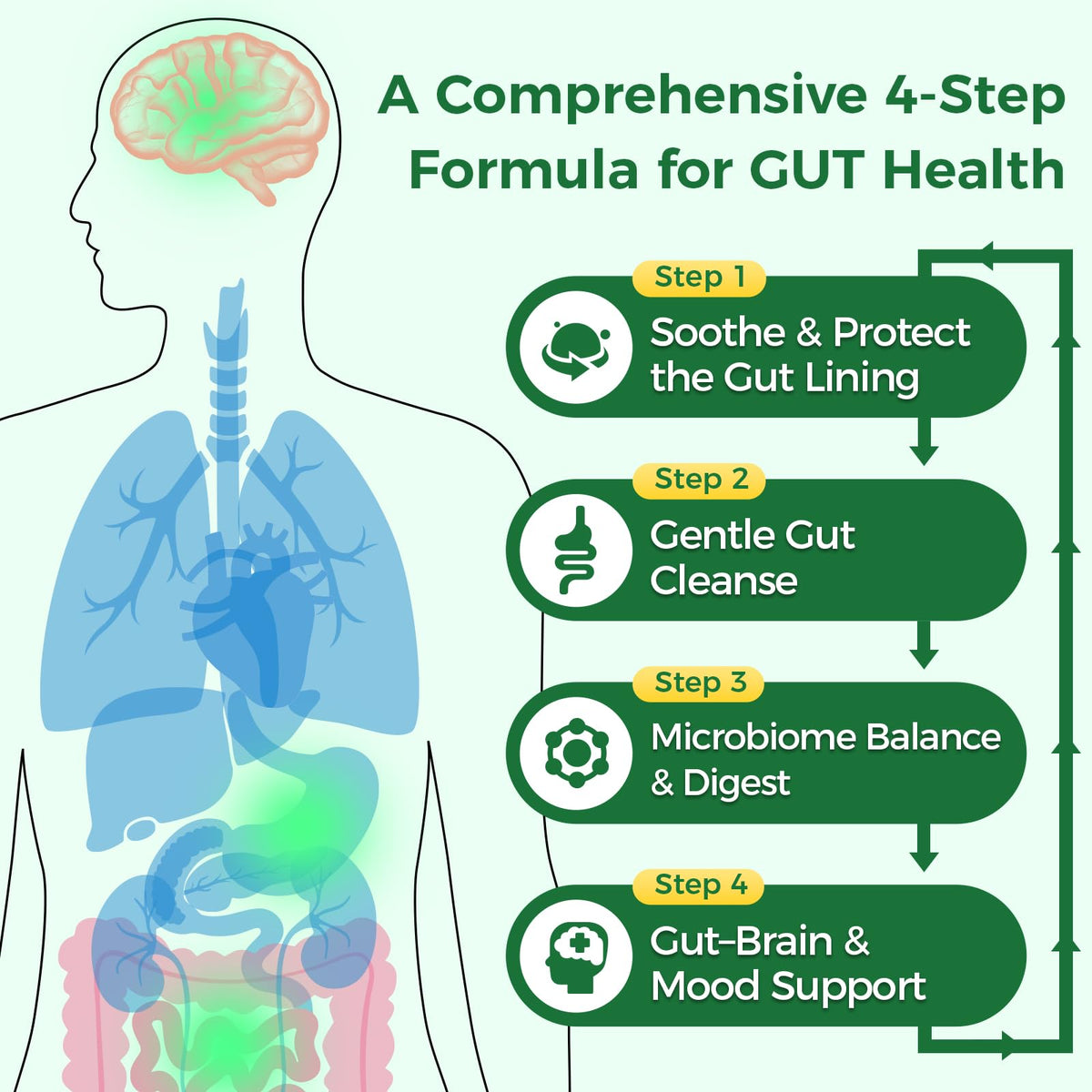 digestive enzymes for bloating relief