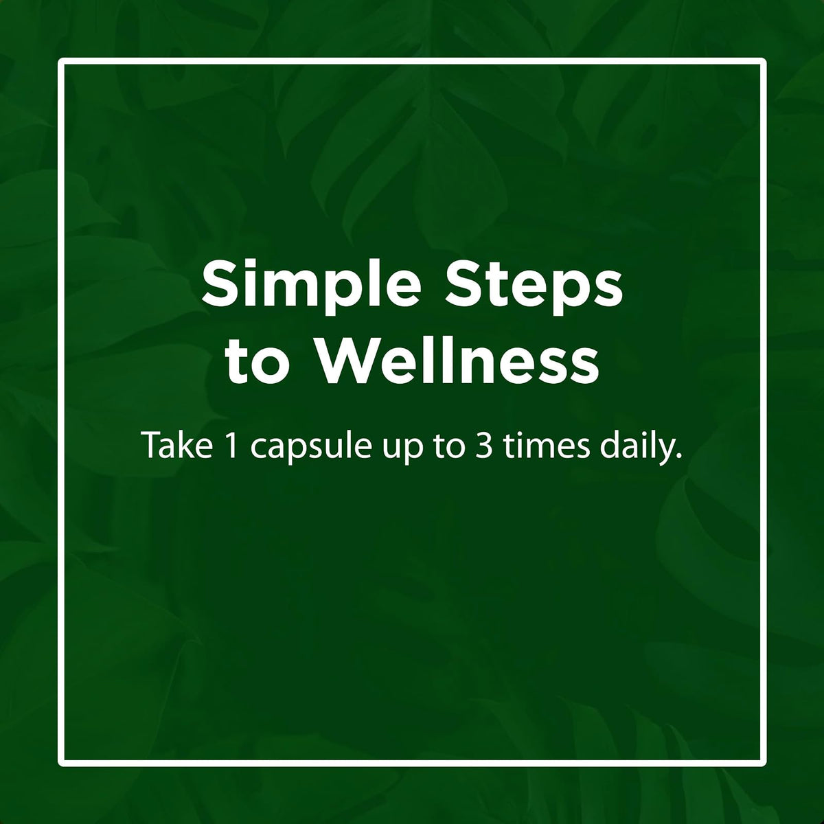 Digestive enzymes for bloating relief