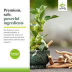 Digestive enzymes for bloating relief