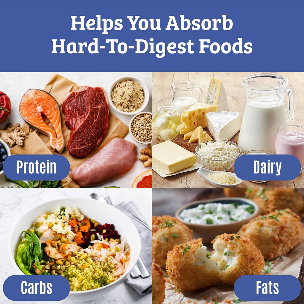 digestive enzymes for daily digestive support