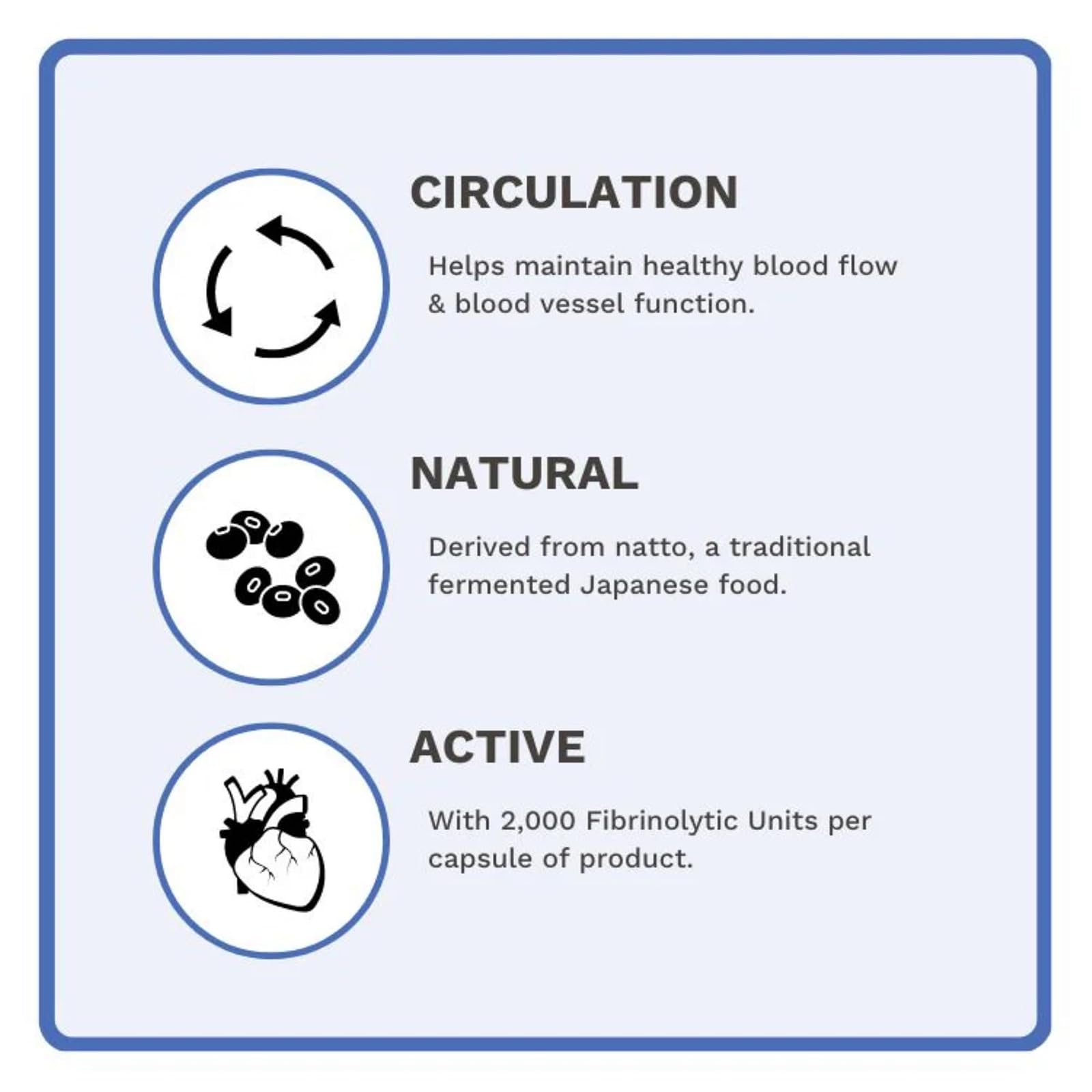 Digestive enzymes for daily wellness support