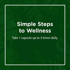 digestive enzymes for enhanced nutrient absorption